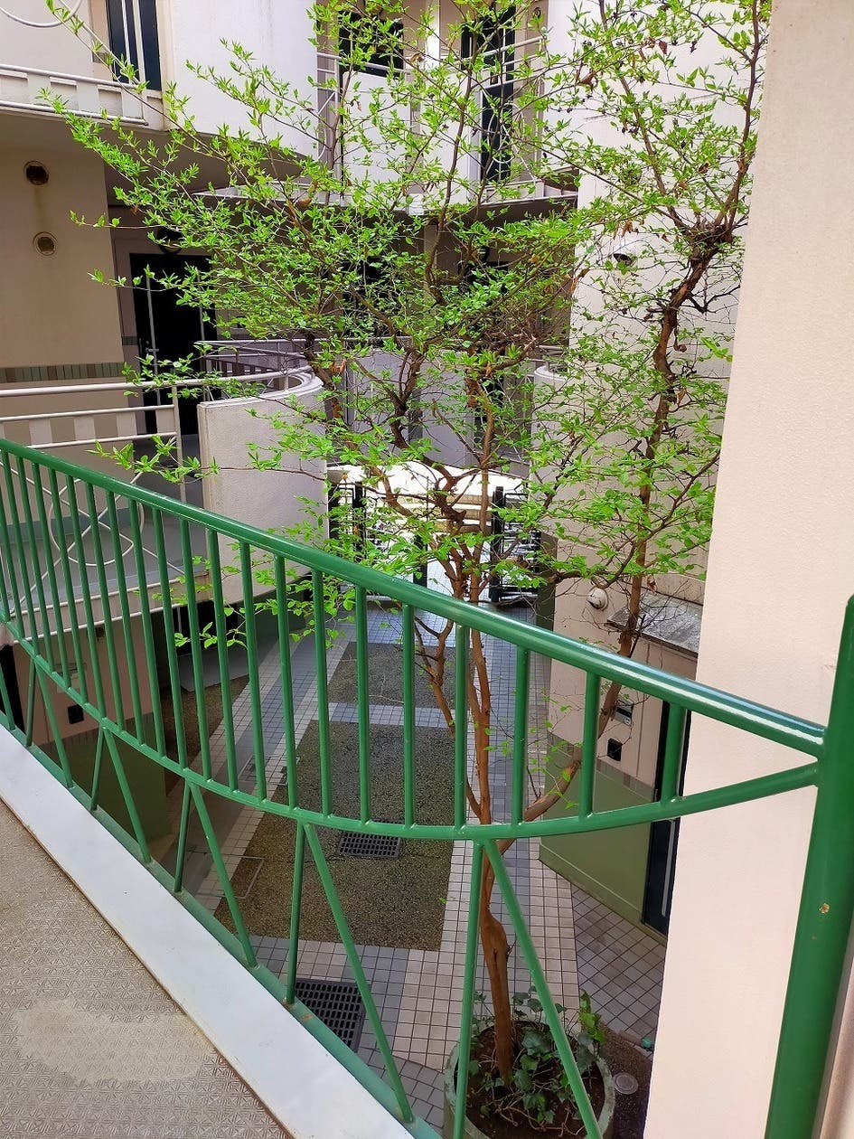 🉐特割🍡【マイランドみずほ台】駅徒歩4分の✨シャンデリアのあるパーティールームの写真10