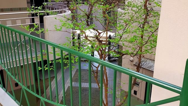 🉐特割🍡【マイランドみずほ台】駅徒歩4分の✨シャンデリアのあるパーティールームの写真10