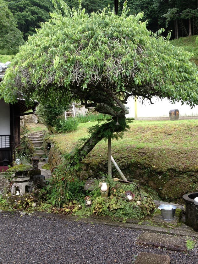 【豊田市・名古屋】築160年のステキな古民家。コスプレ撮影会・パーティなどのイベント等に！の写真21