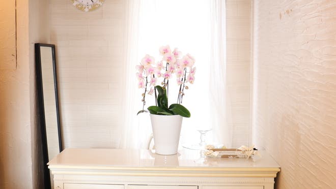 【JR甲子園口駅徒歩1分】自然光の入る明るい空間、高速Wi-Fi、パーティー・会議・勉強・レッスンに最適!各種応援割有りの写真6