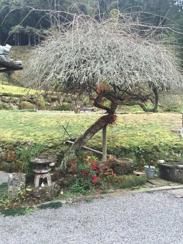 【豊田市・名古屋】築160年のステキな古民家。コスプレ撮影会・パーティなどのイベント等に！の写真36