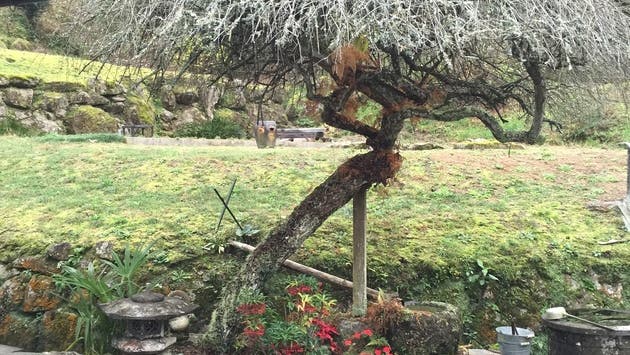 【豊田市・名古屋】築160年のステキな古民家。コスプレ撮影会・パーティなどのイベント等に!の写真36