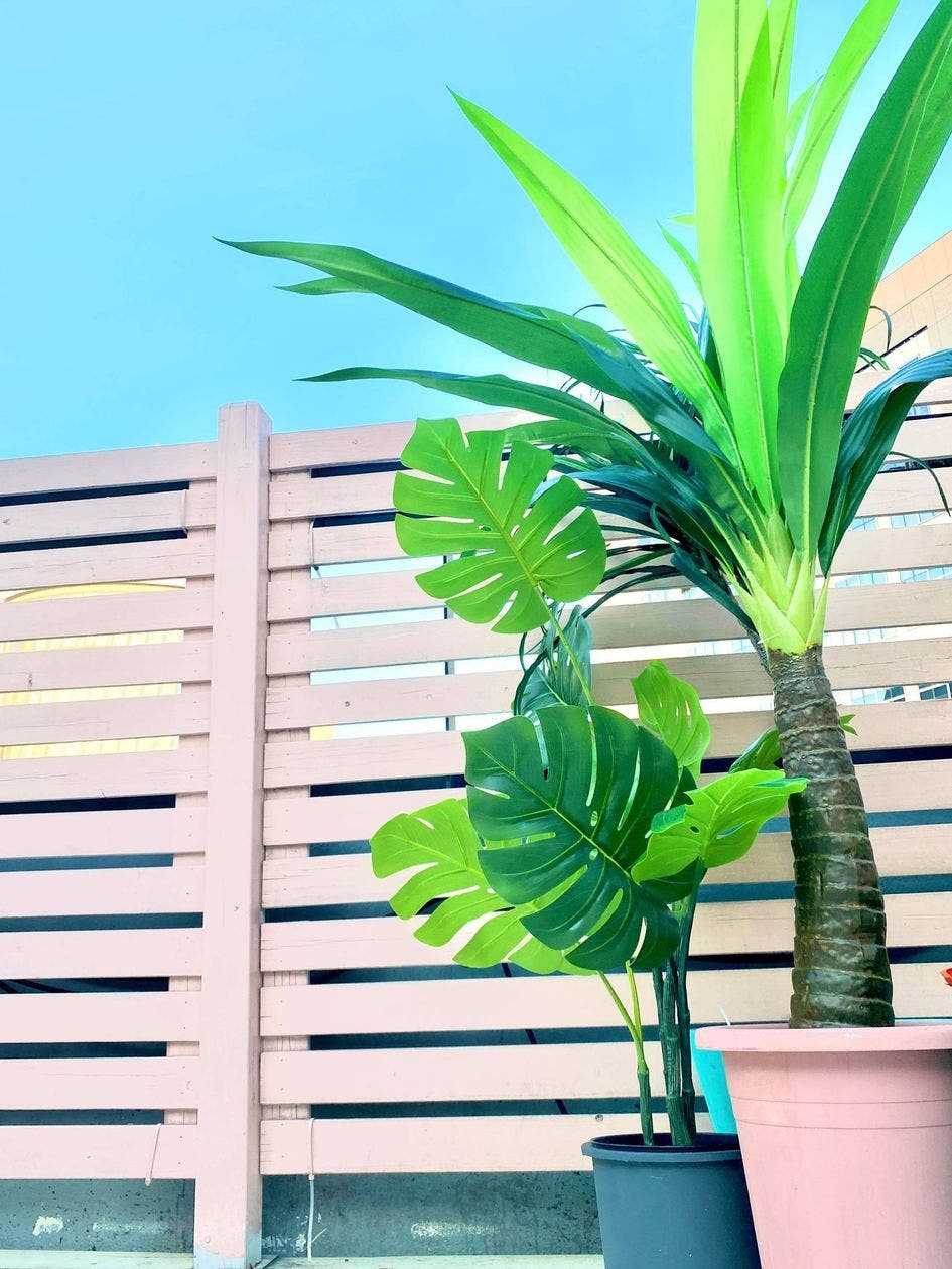 フォトジェニックな屋上スペース！ 渋谷・渋谷・代官山駅近の好立地！撮影利用に最適！の写真5