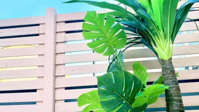 フォトジェニックな屋上スペース! 渋谷・渋谷・代官山駅近の好立地!撮影利用に最適!の写真5