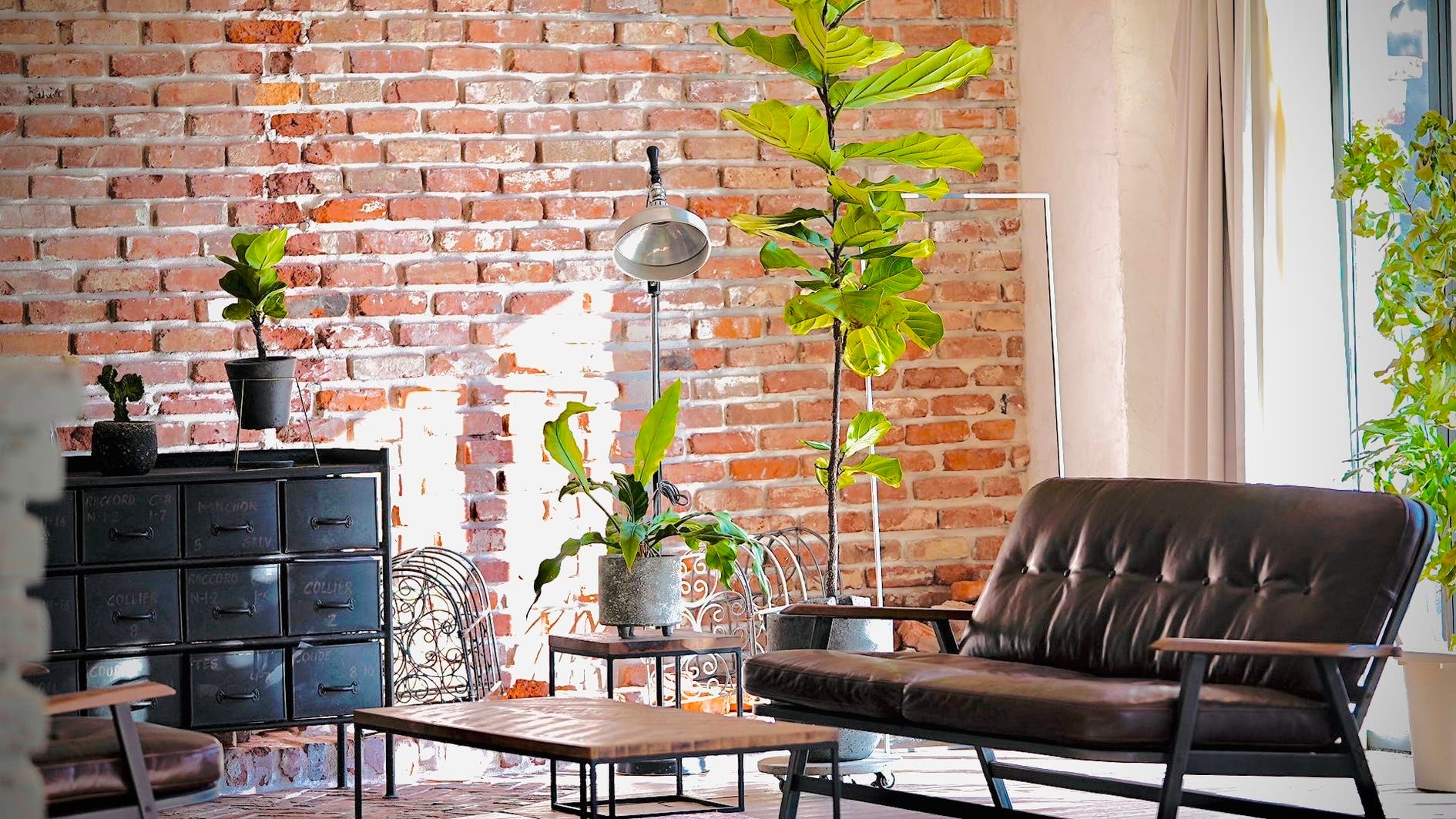 aid studioは渋谷駅からほど近い大規模ハウススタジオ おしゃれな レンガ壁やモルタル壁など。撮影会、生配信の実績多数。の写真7