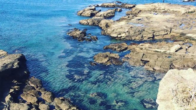 都内から車で約90分!BBQ・女子会・撮影に最適!の写真11