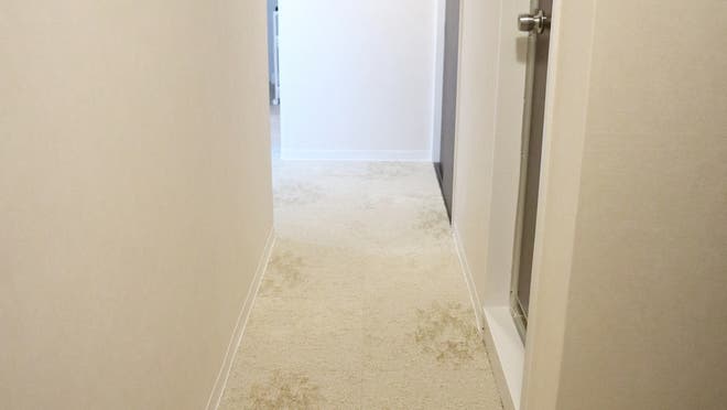 (A)【伏見駅徒歩1分】格安でエステなどおこなえる駅近レンタルサロン☆1時間からどうぞ♪の写真7