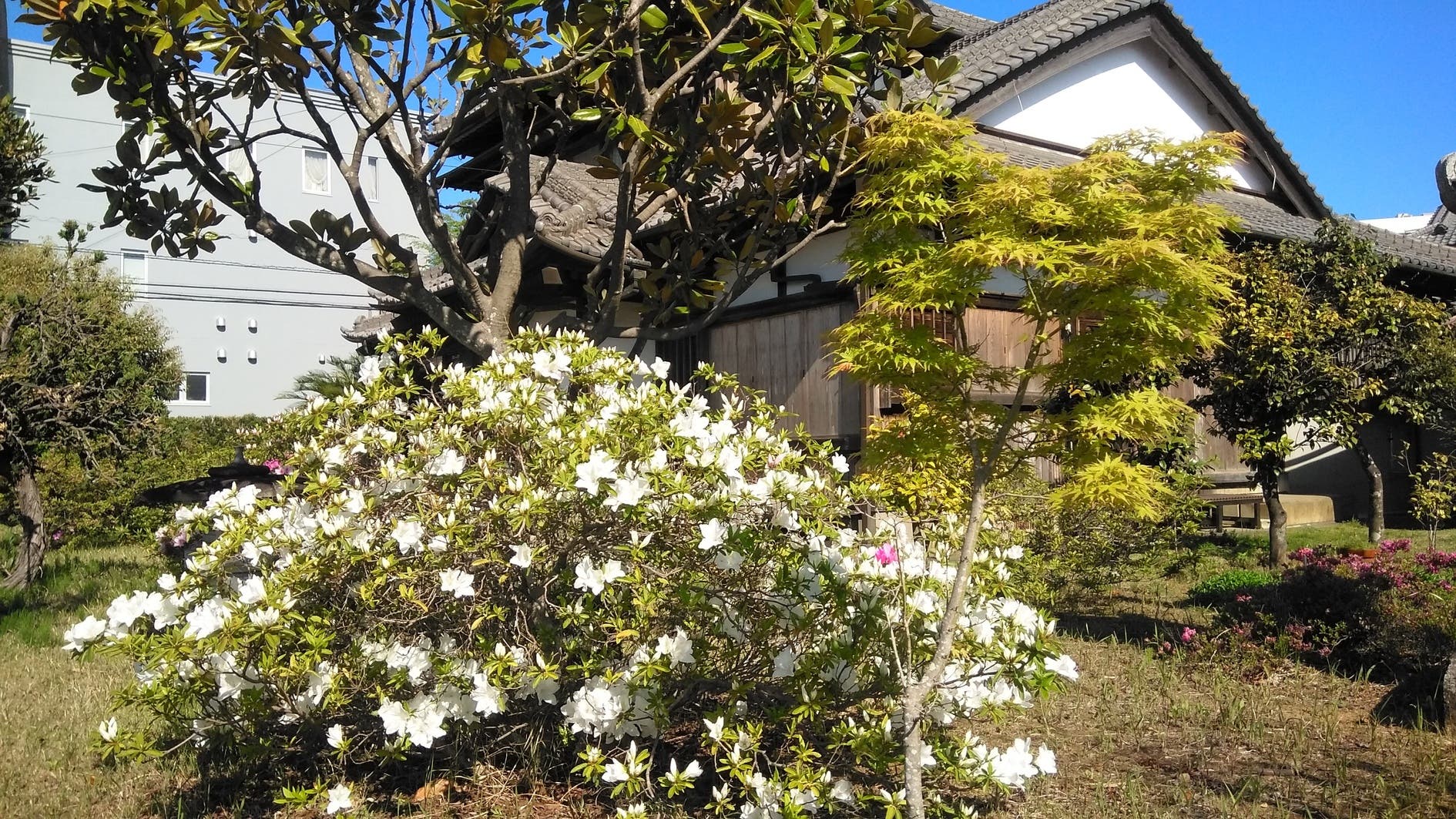 縁側からやさし光の入る和室で、各種教室や打ち合わせなどなごみの時が過ごせます。の写真8