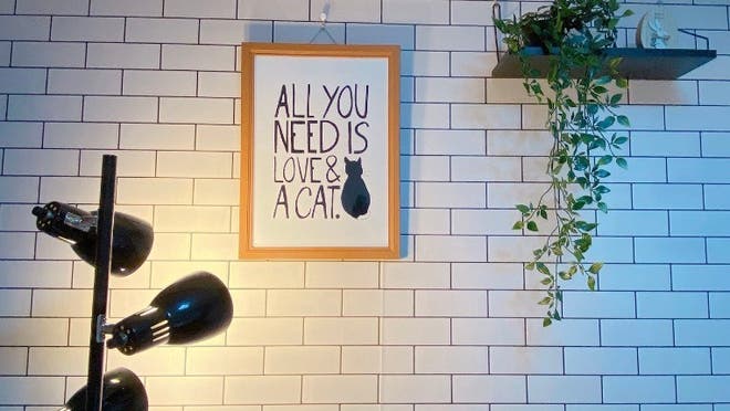 【駅チカ】徒歩1分 完全個室・会議打ち合わせ・テレワーク・Wi-Fiあり/マッサージベッドもあり♪の写真3