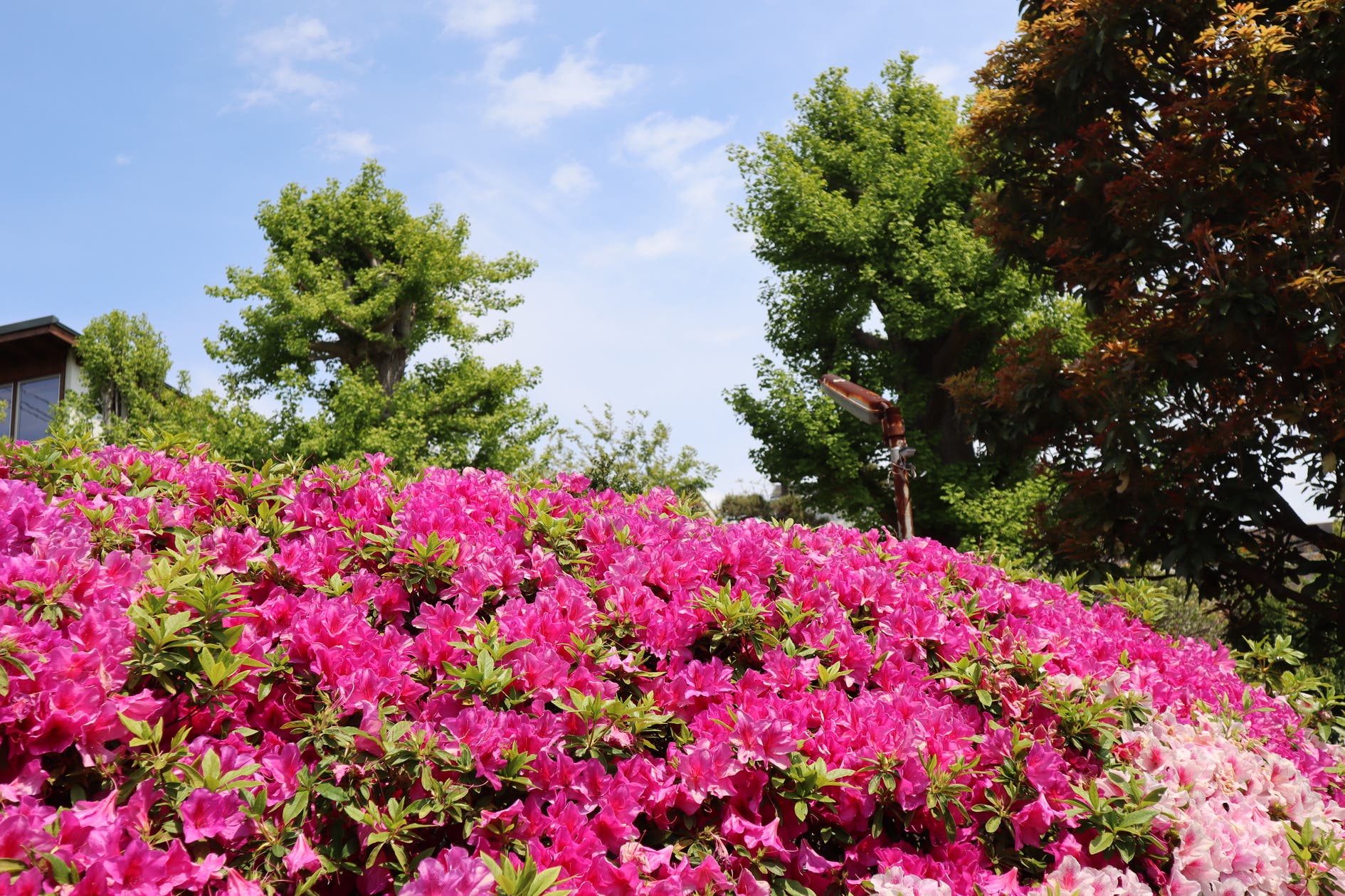 江ノ電由比ヶ浜駅徒歩３分【古民家カルチャーハウス 蕾の家】お庭のある古民家、海まで徒歩7分の写真8