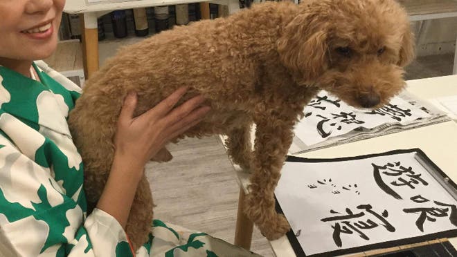 おひとり様でご自由に♪の写真10