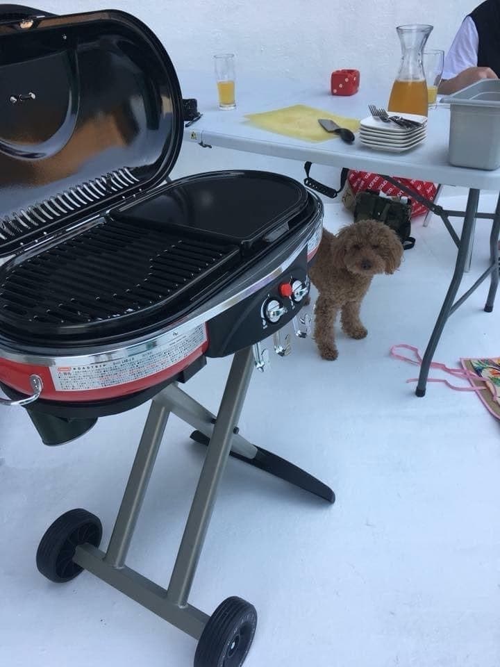 BBQ台　ガスの画像1