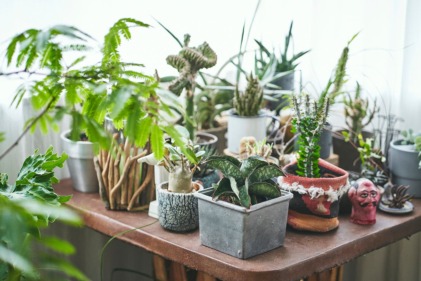 南向き/自然光が入るスタジオ/文京区/江戸川橋駅徒歩4分/小道具も豊富の写真23