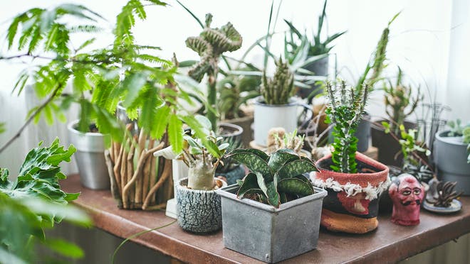 南向き/自然光が入るスタジオ/文京区/江戸川橋駅徒歩4分/小道具も豊富の写真23