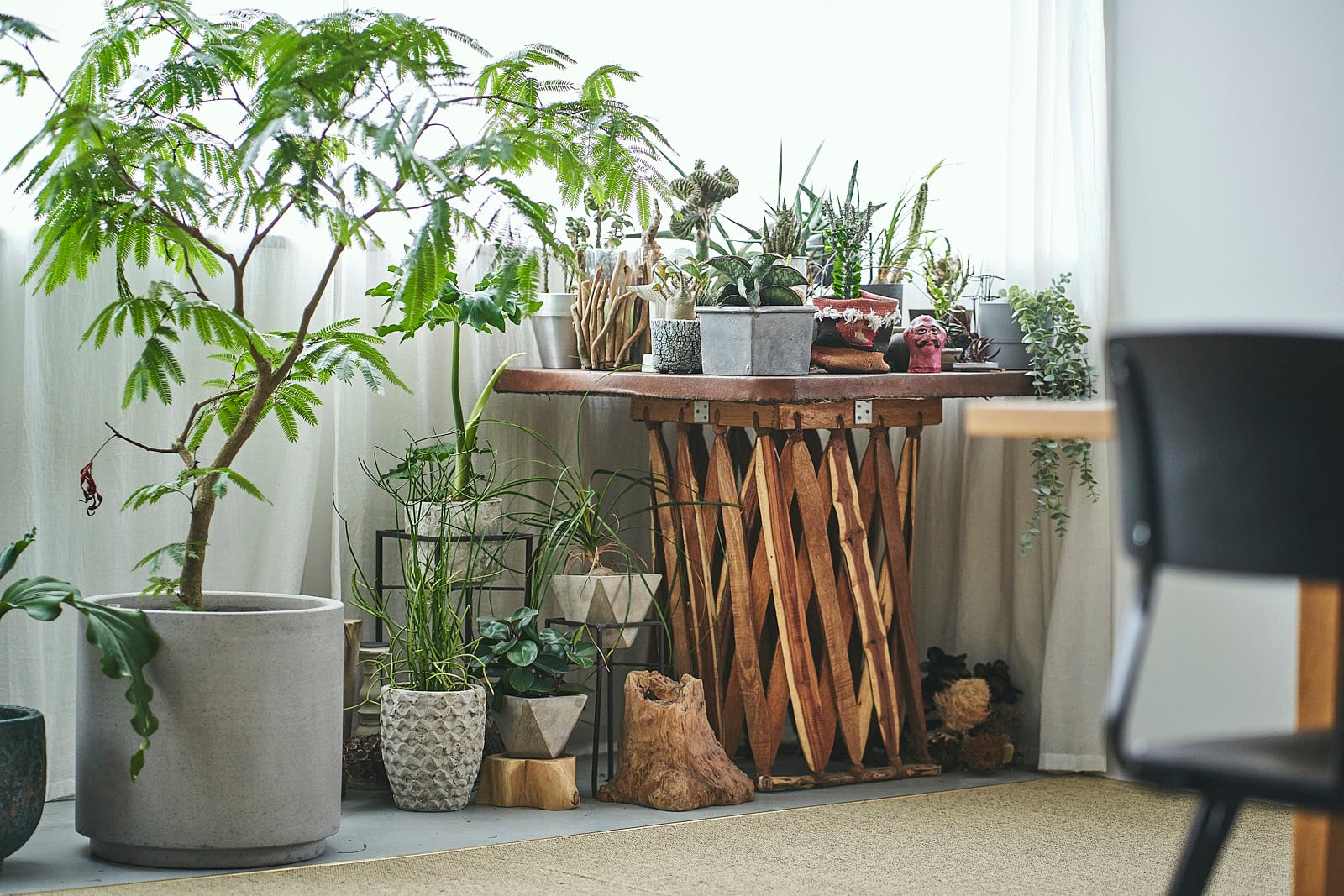 南向き/自然光が入るスタジオ/文京区/江戸川橋駅徒歩4分/小道具も豊富の写真24