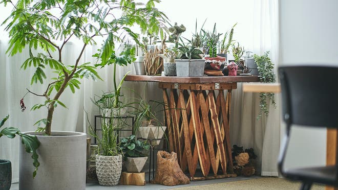 南向き/自然光が入るスタジオ/文京区/江戸川橋駅徒歩4分/小道具も豊富の写真24