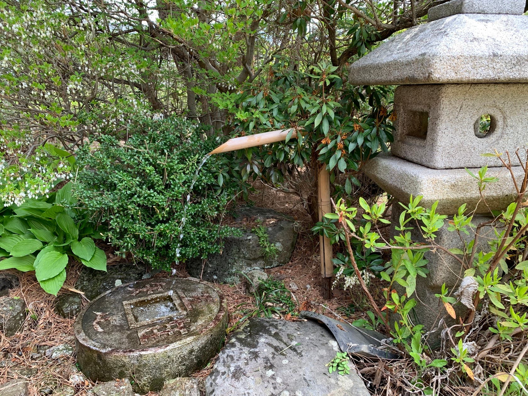 【長野・松本】住宅街の森の中にあるお茶室　ふちあん村　無料駐車場の写真10