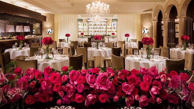 【横浜】 オランジェリ 落ち着いた雰囲気で、会議やセミナー向けのフロアの写真1