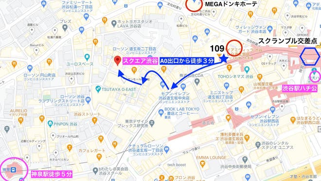 【R07.07~リニューアル】渋谷でFrancfranc|人気の空気清浄機|最上階|produced by PECOTTの写真22