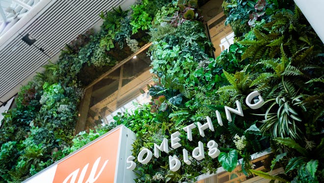 【天文館】レンタルギャラリー(サムシング2F)の写真3