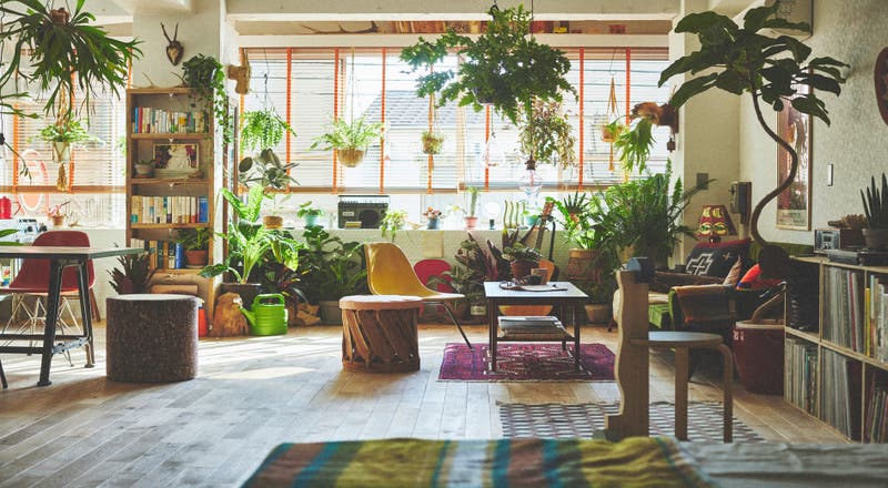 実際に人が住んでいるかのような生活感を、圧巻の植物たちが包み込むハウススタジオ
