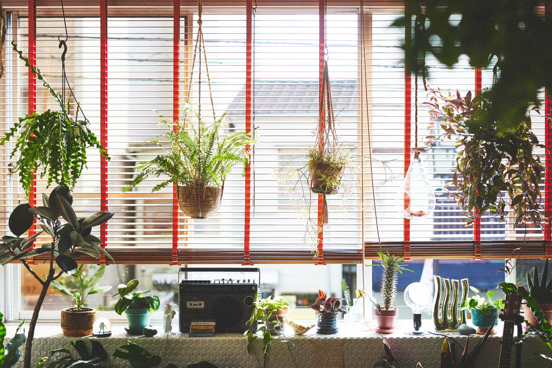 実際に人が住んでいるかのような生活感を、圧巻の植物たちが包み込むハウススタジオの写真5