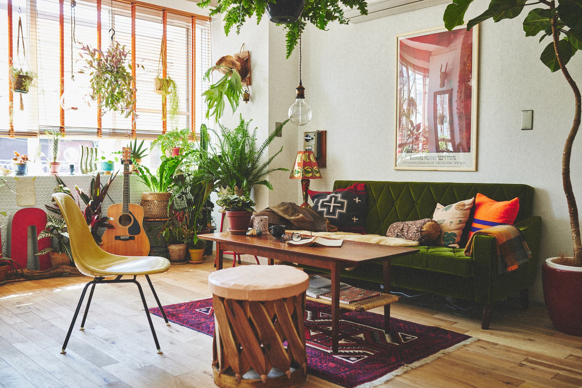 実際に人が住んでいるかのような生活感を、圧巻の植物たちが包み込むハウススタジオの写真6