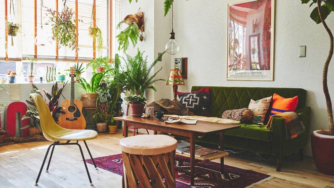 実際に人が住んでいるかのような生活感を、圧巻の植物たちが包み込むハウススタジオの写真6