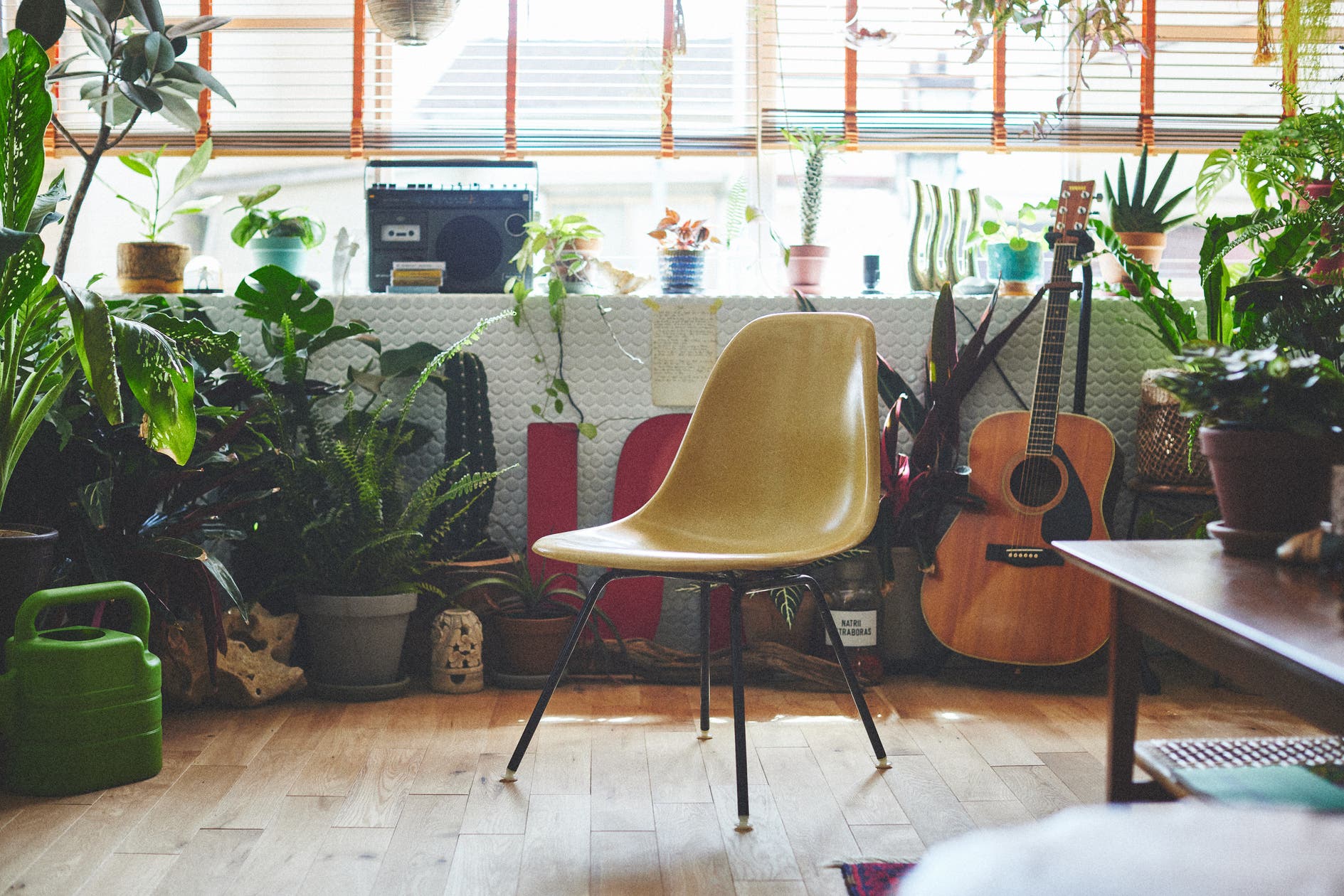 実際に人が住んでいるかのような生活感を、圧巻の植物たちが包み込むハウススタジオの写真7
