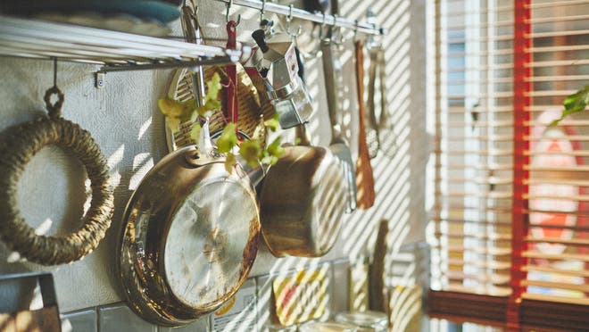 実際に人が住んでいるかのような生活感を、圧巻の植物たちが包み込むハウススタジオの写真14