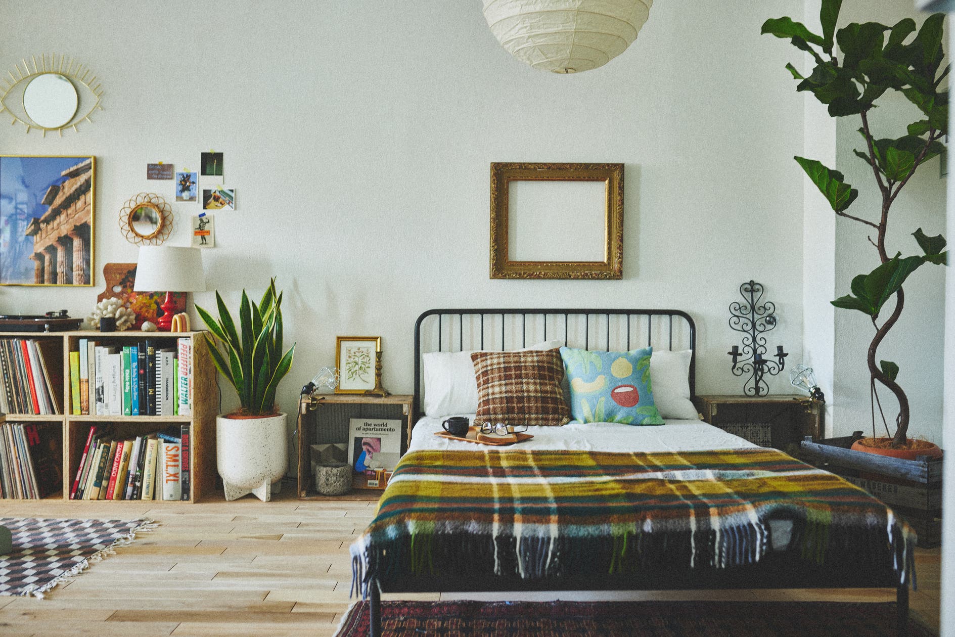 実際に人が住んでいるかのような生活感を、圧巻の植物たちが包み込むハウススタジオの写真16