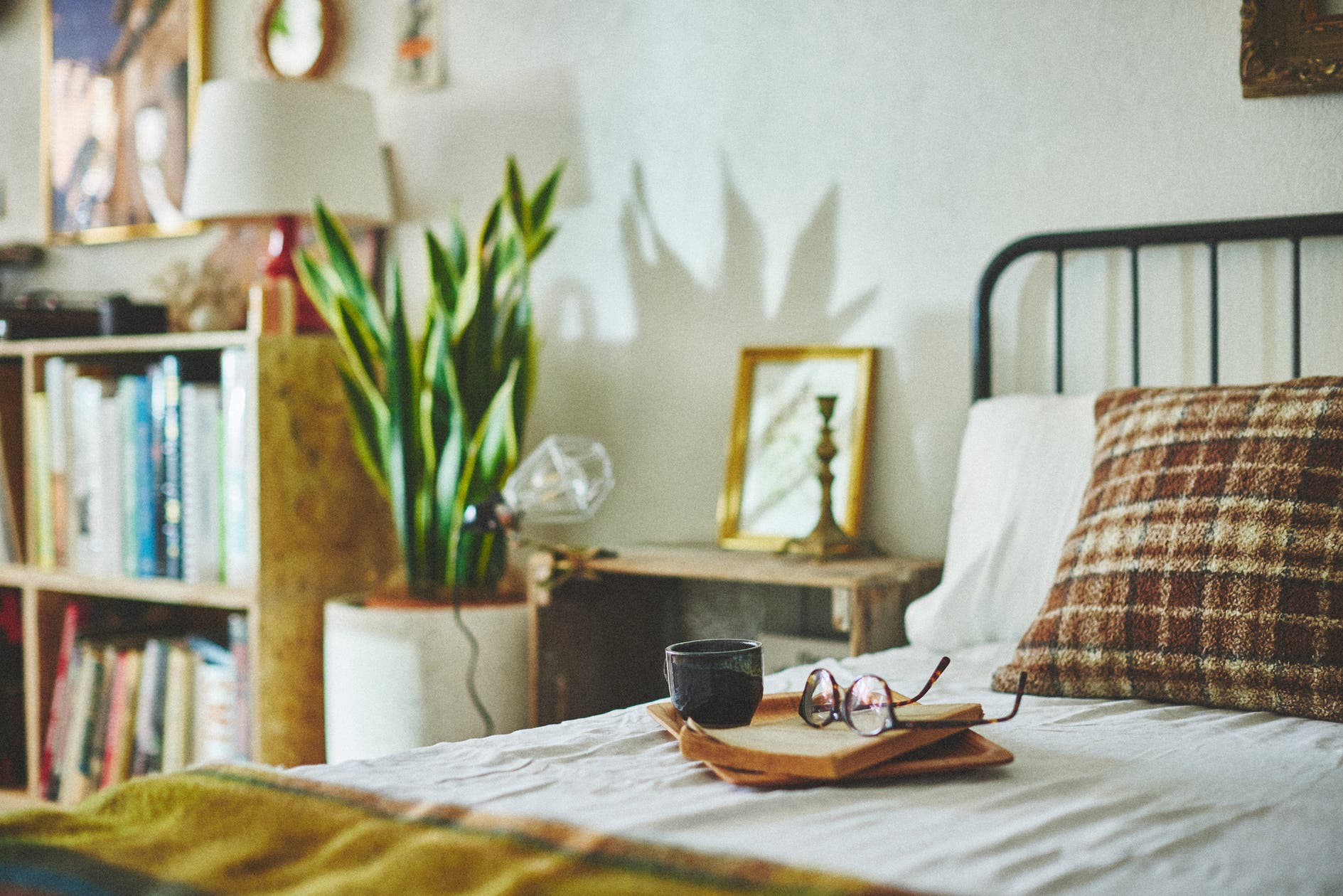 実際に人が住んでいるかのような生活感を、圧巻の植物たちが包み込むハウススタジオの写真17