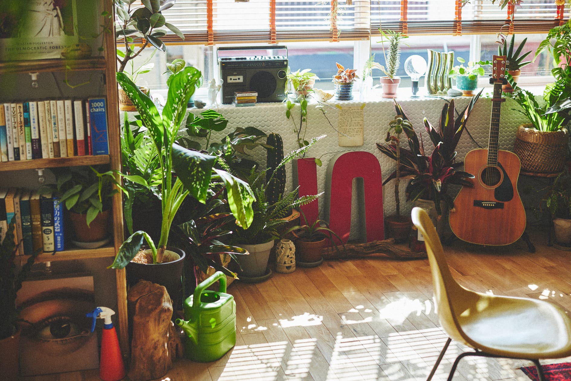 実際に人が住んでいるかのような生活感を、圧巻の植物たちが包み込むハウススタジオの写真8