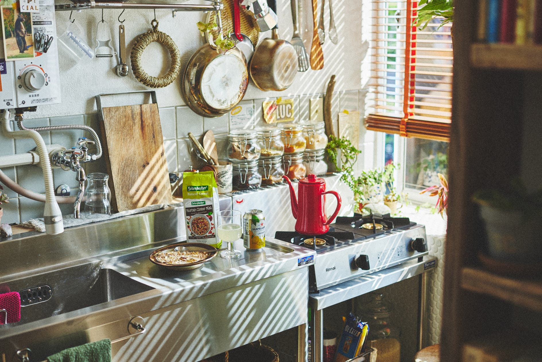 実際に人が住んでいるかのような生活感を、圧巻の植物たちが包み込むハウススタジオの写真11