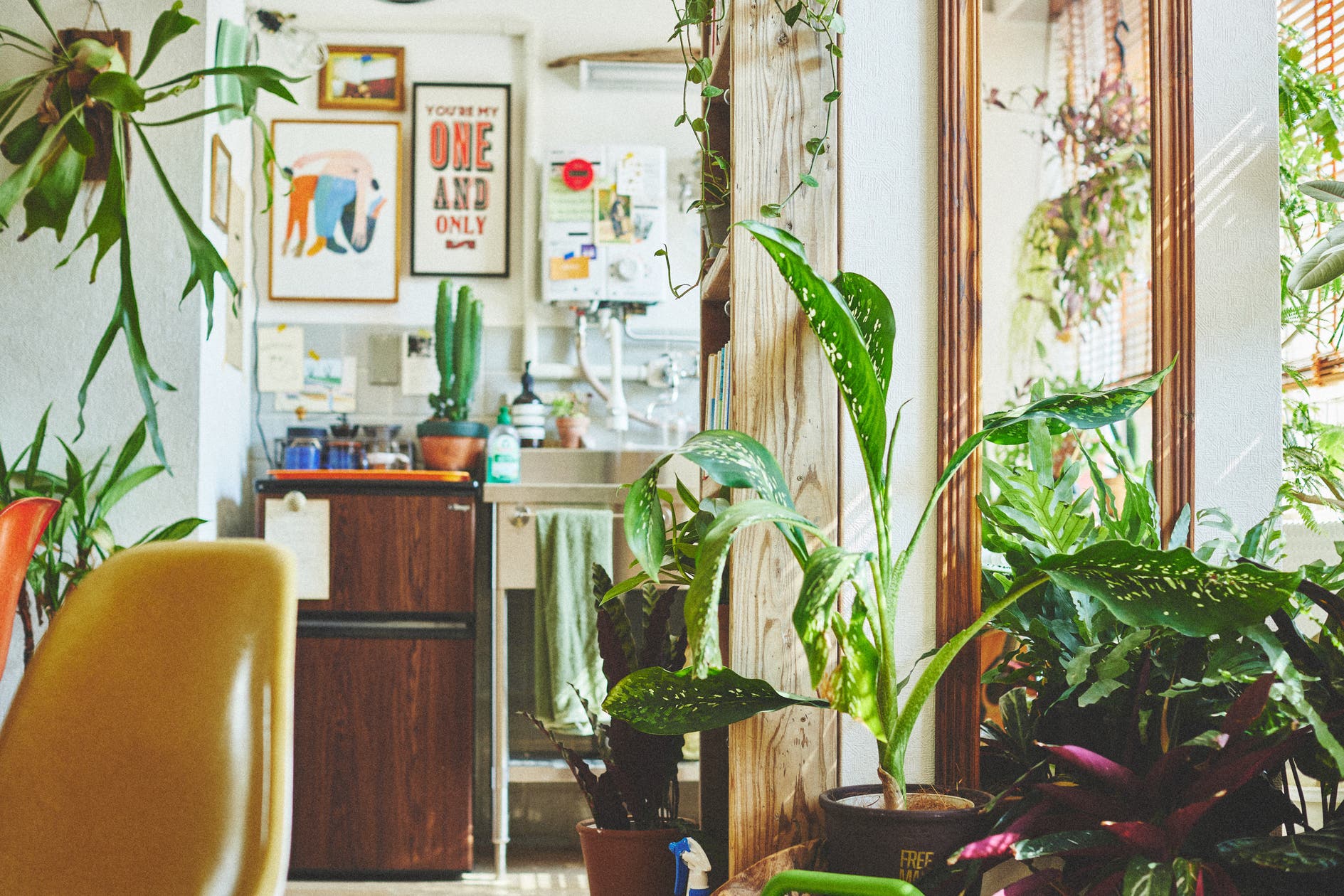 実際に人が住んでいるかのような生活感を、圧巻の植物たちが包み込むハウススタジオの写真12