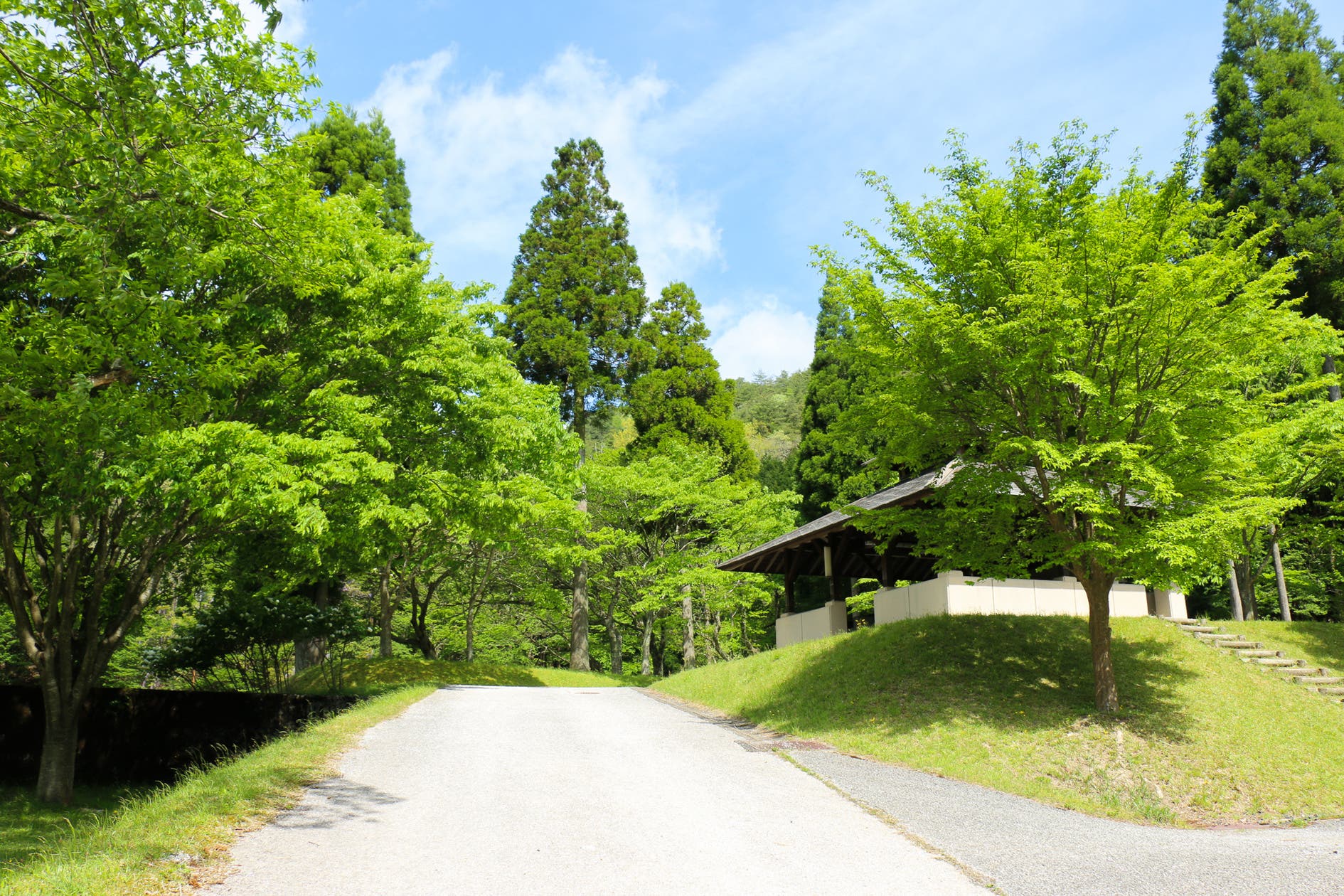 大自然の中で貸切ワーケーション！プライベートBBQ、撮影、多目的イベントスペース（キャンプ場）の写真2