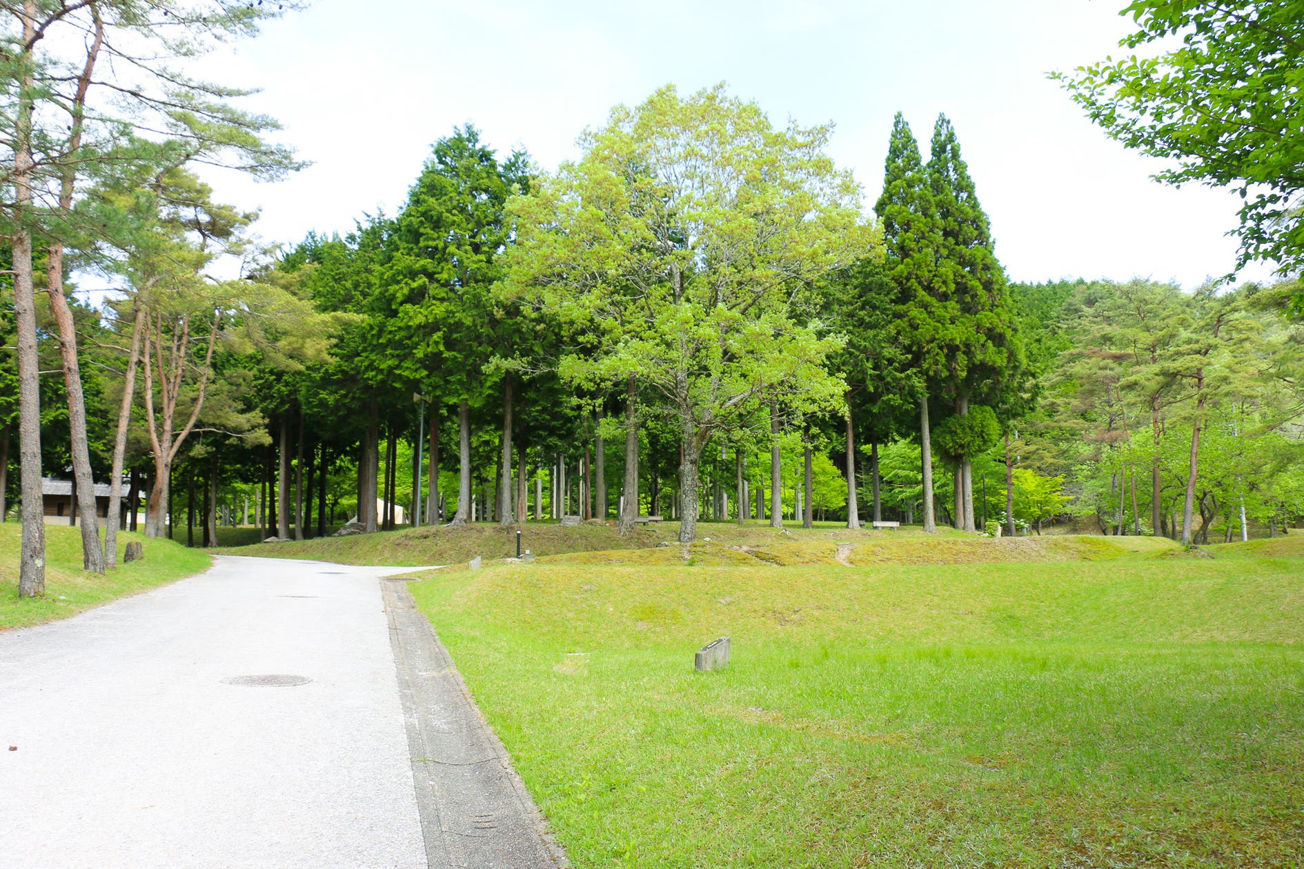 大自然の中で貸切ワーケーション！プライベートBBQ、撮影、多目的イベントスペース（キャンプ場）の写真3
