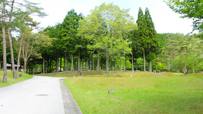 大自然の中で貸切ワーケーション!プライベートBBQ、撮影、多目的イベントスペース(キャンプ場)の写真3