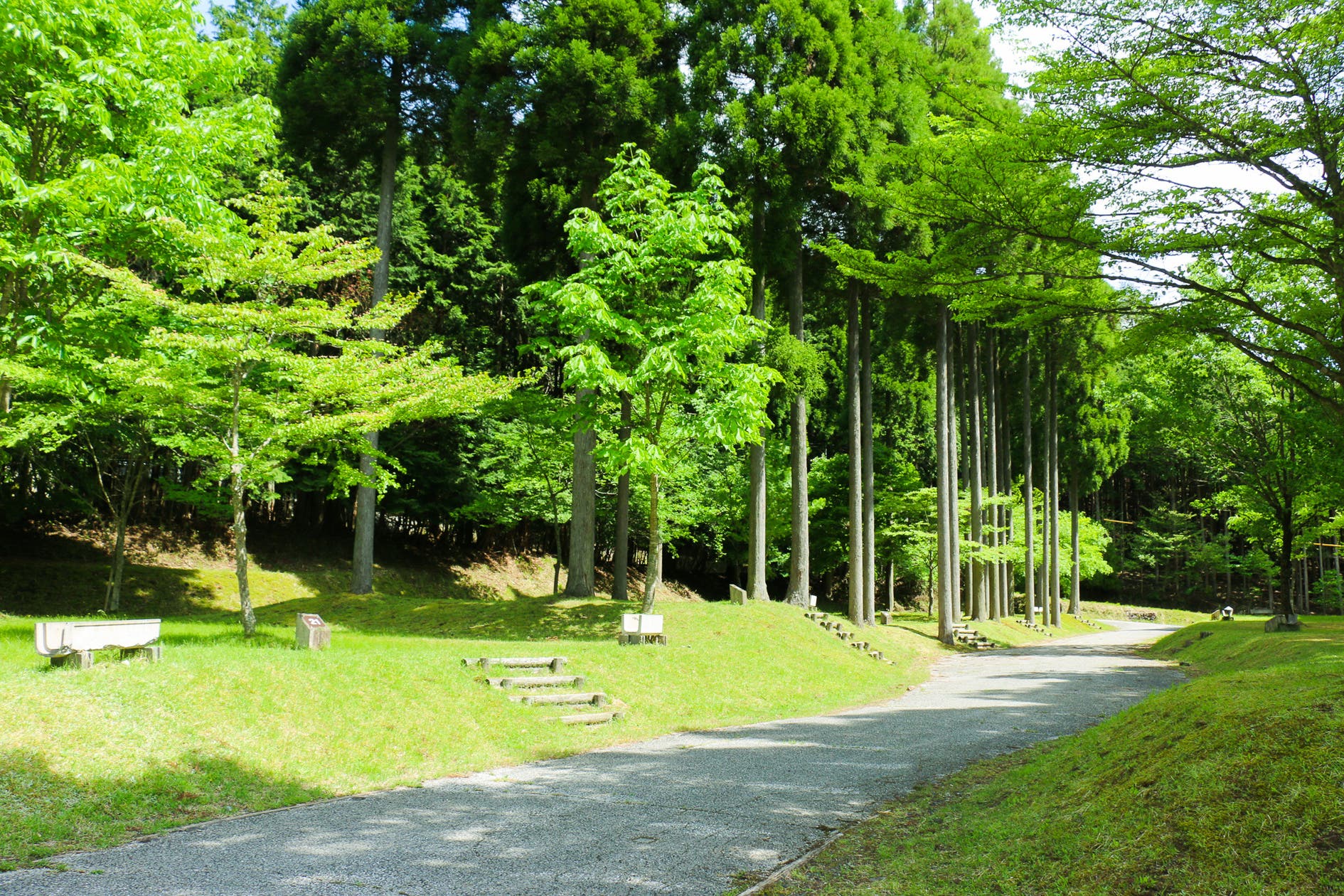 大自然の中で貸切ワーケーション！プライベートBBQ、撮影、多目的イベントスペース（キャンプ場）の写真8