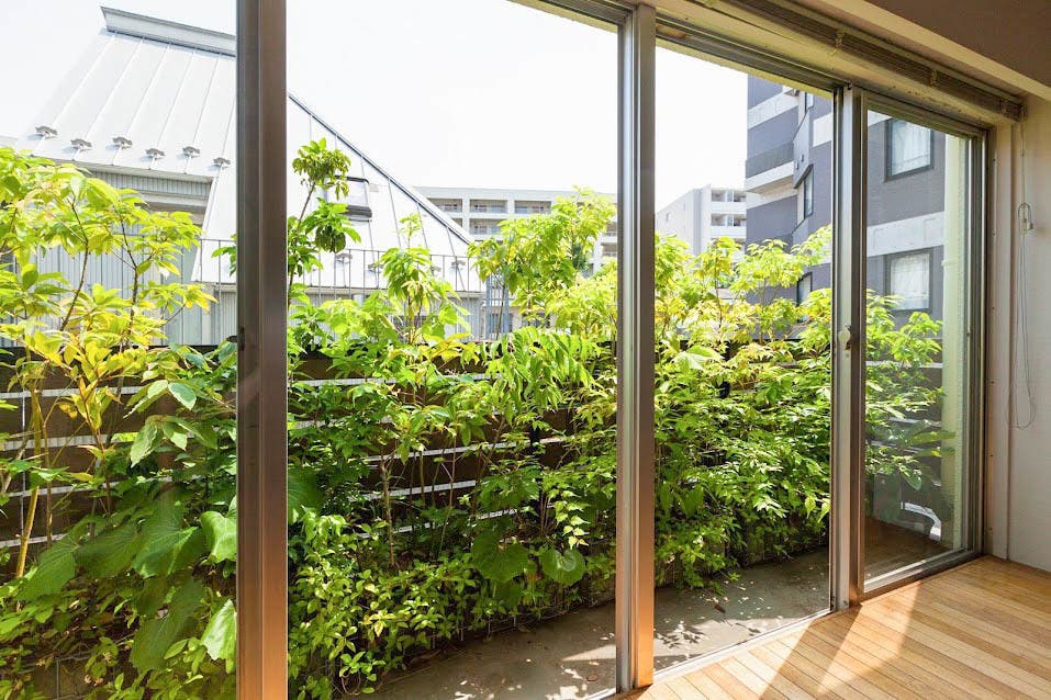 【駅徒歩5分、撮影・収録に】窓からの木漏れ日、大きな本棚が好評。フローリング、大きな窓は開放感があり、風通し抜群。の写真7