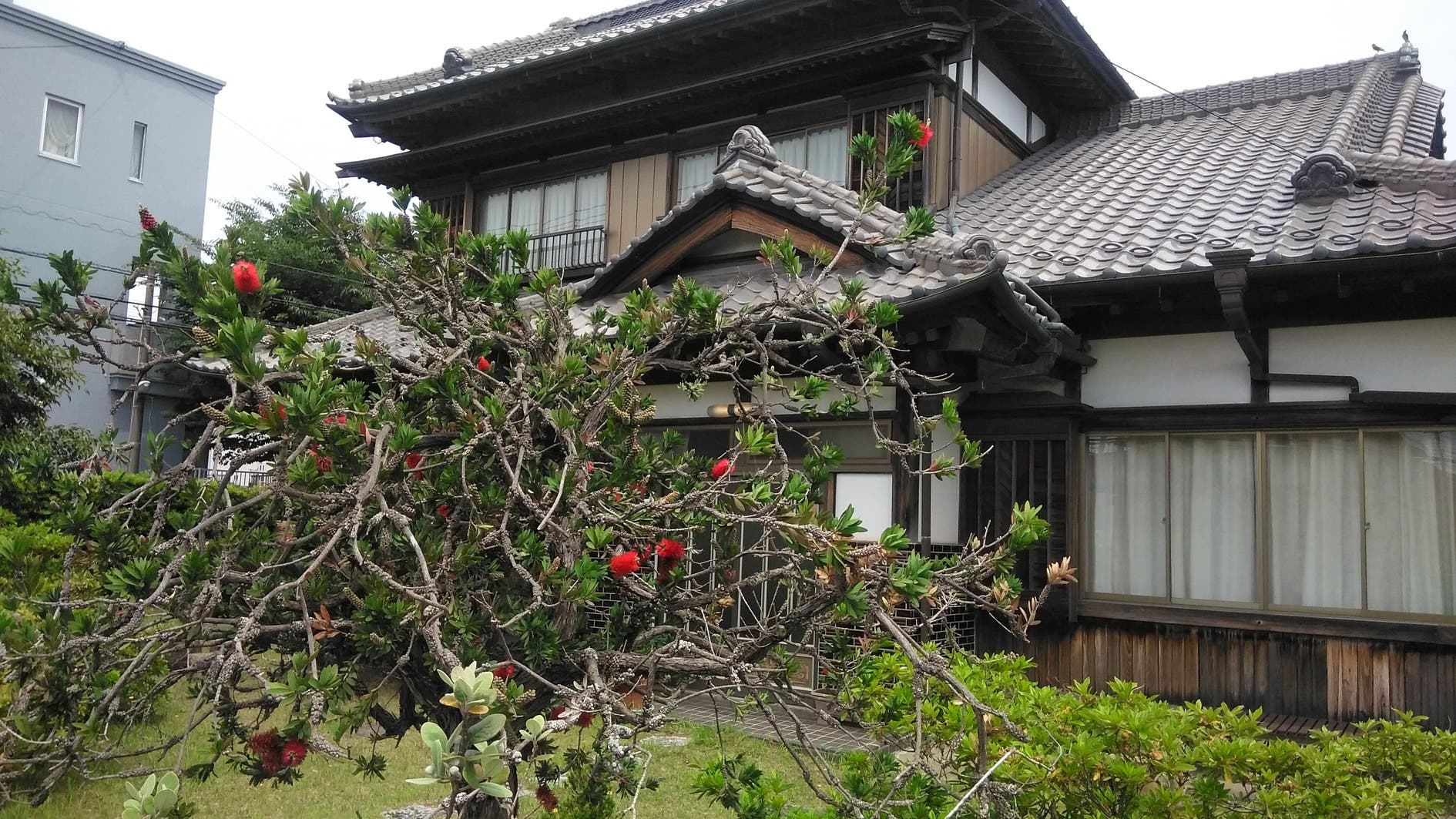 縁側からやさし光の入る和室で、各種教室や打ち合わせなどなごみの時が過ごせます。の写真9