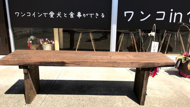 ワンコも一緒に入れる食堂のスペース貸しの写真3