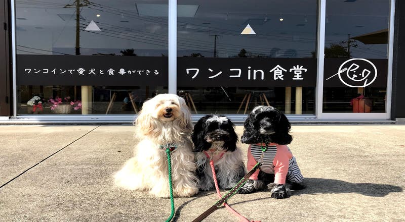 ワンコも一緒に入れる食堂のスペース貸し