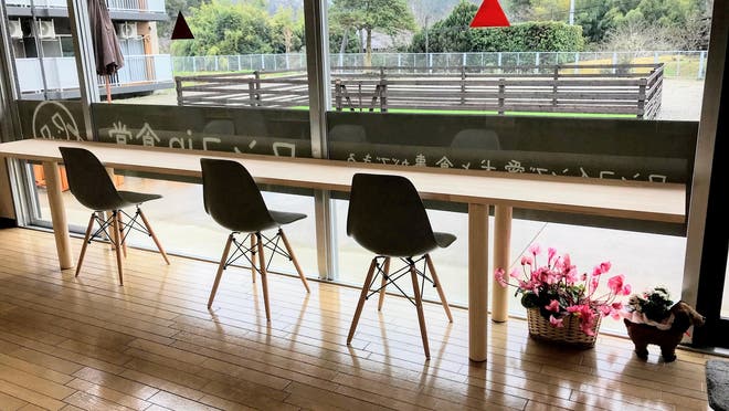 ワンコも一緒に入れる食堂のスペース貸しの写真4