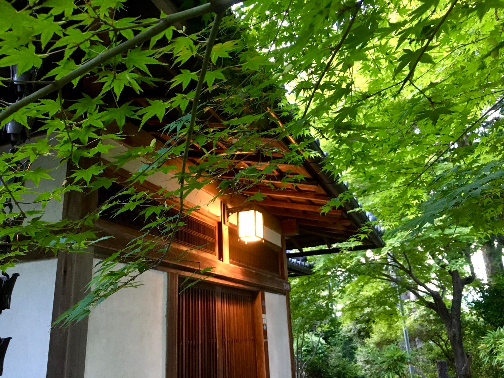 通尾天神山 松風庵　　　のど黒飴CM舞台ですの写真4