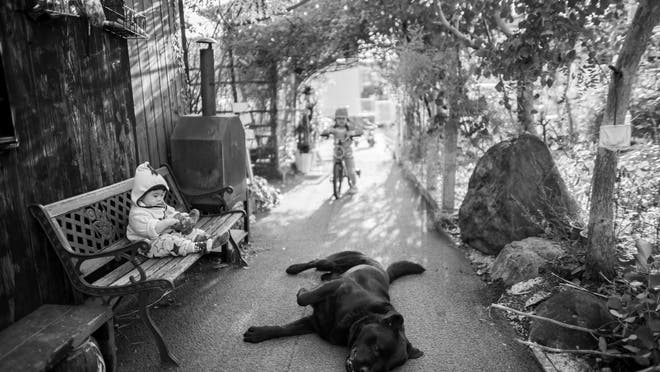 【飲食持ち込み可能】高速WIFI 広い庭で撮影や野外イベントなど 撮影に使用可能!の写真8