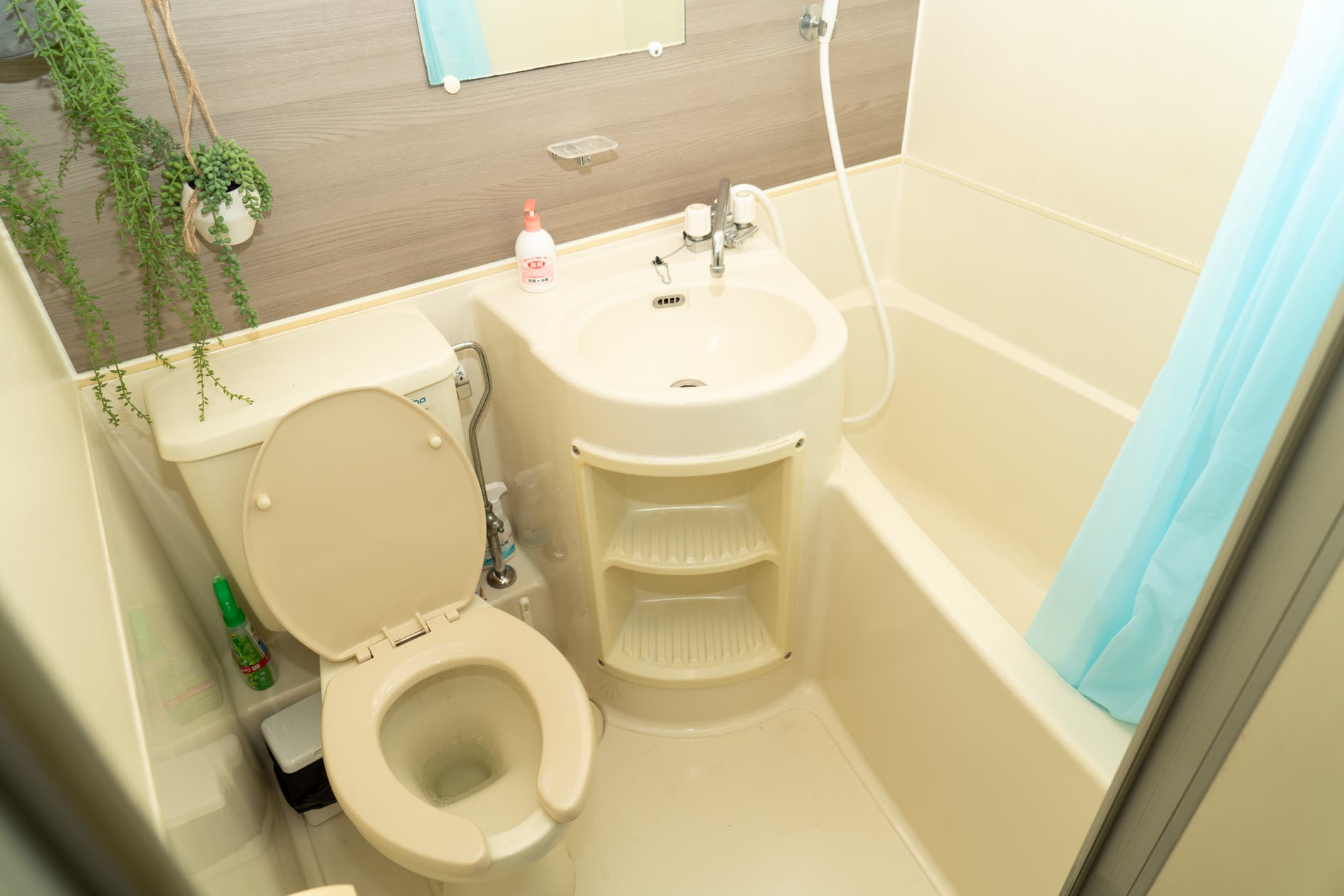 スペモ🏠クリスマス🎄歓送迎会🎊学割👨‍🎓オフ会🌼広々2部屋❄️おうちデート💖自然光🌟384_fika心斎橋の写真28