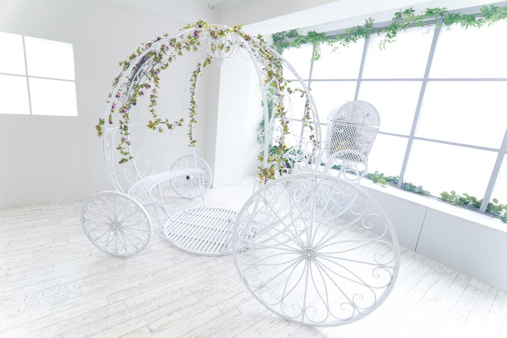 【スタジオジジ / 丸ノ内線 中野富士見町 徒歩30秒】/ 自然光 1h-5000円 / 花壁 / 馬車の写真4