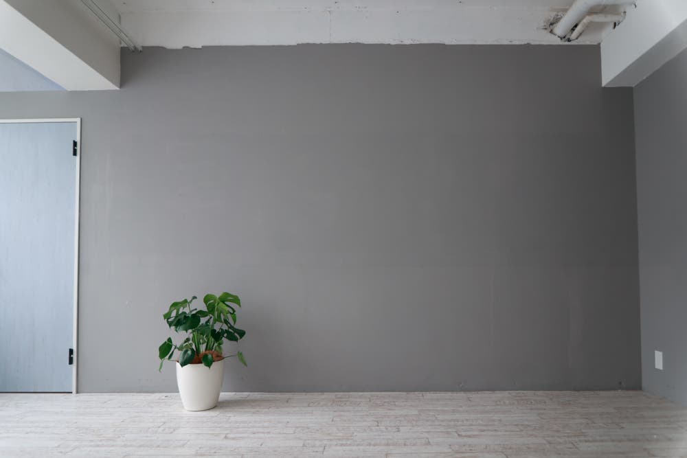 【スタジオジジ / 丸ノ内線 中野富士見町 徒歩30秒】/ 自然光 1h-5000円 / 花壁 / 馬車の写真5