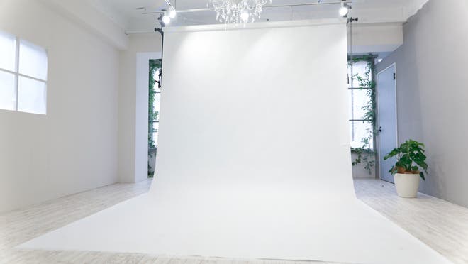 【スタジオジジ / 丸ノ内線 中野富士見町 徒歩30秒】/ 自然光 1h-5000円 / 花壁 / 馬車の写真6